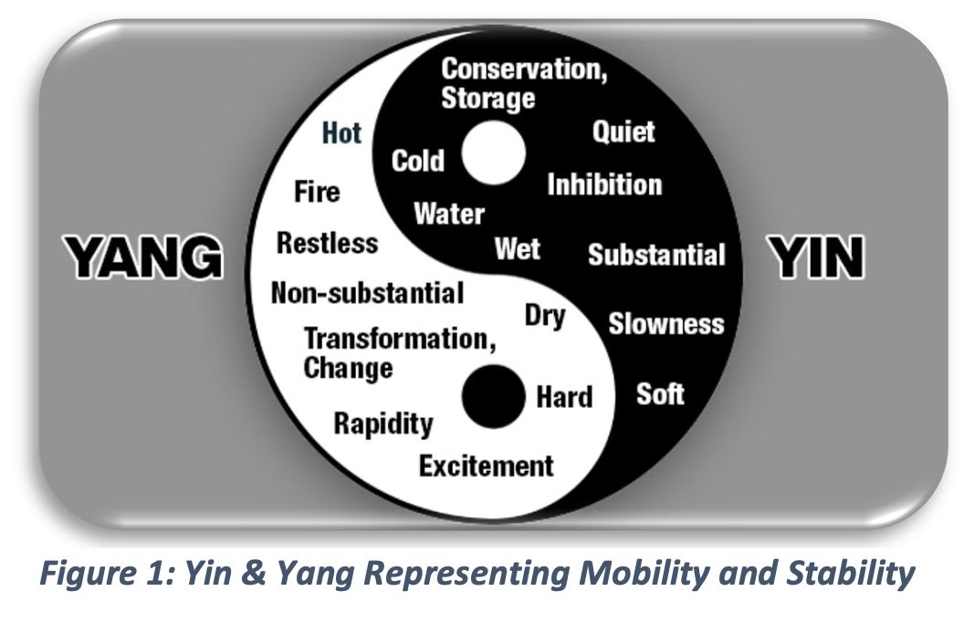 The Mobility & Stability Concept by Daniel Mansueto - Platinum