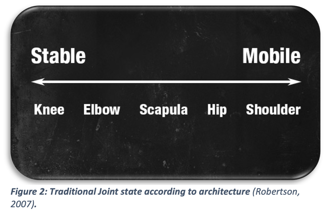 The Mobility & Stability Concept by Daniel Mansueto - Platinum